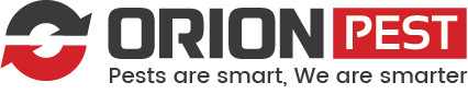Orion Pests – A Pest Control Company